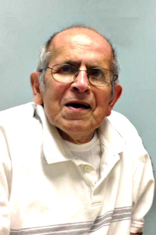 Louis A. Maroun | News, Sports, Jobs - Adirondack Daily Enterprise